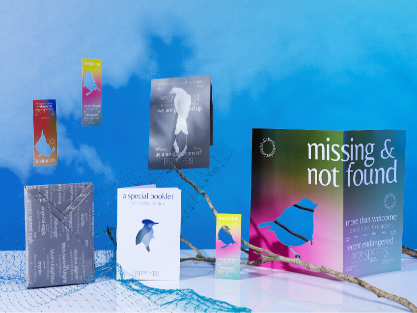 设计分享/Birdie_BranD杂志-站酷ZCOOL