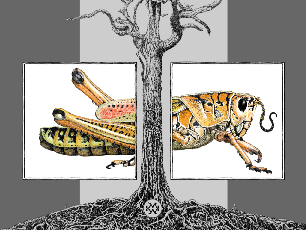 朋友_绿野仙踪WYT-站酷ZCOOL