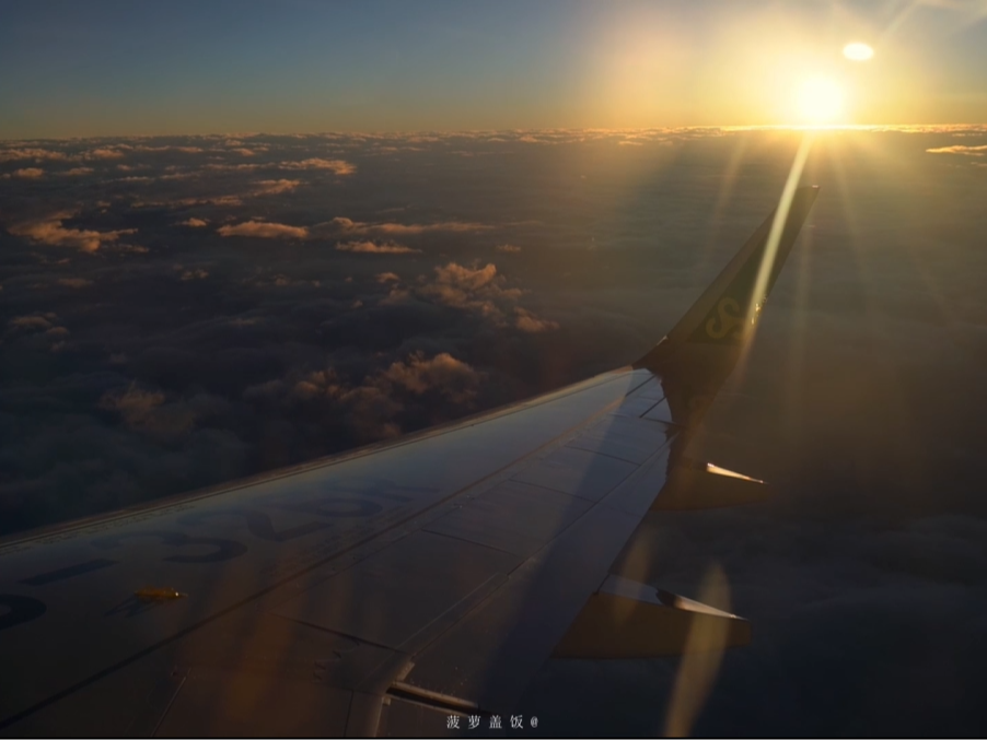 ly_菠萝盖饭-站酷ZCOOL