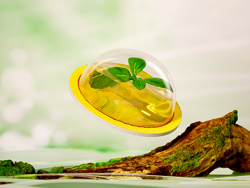 渲染作品_mecry和我-站酷ZCOOL