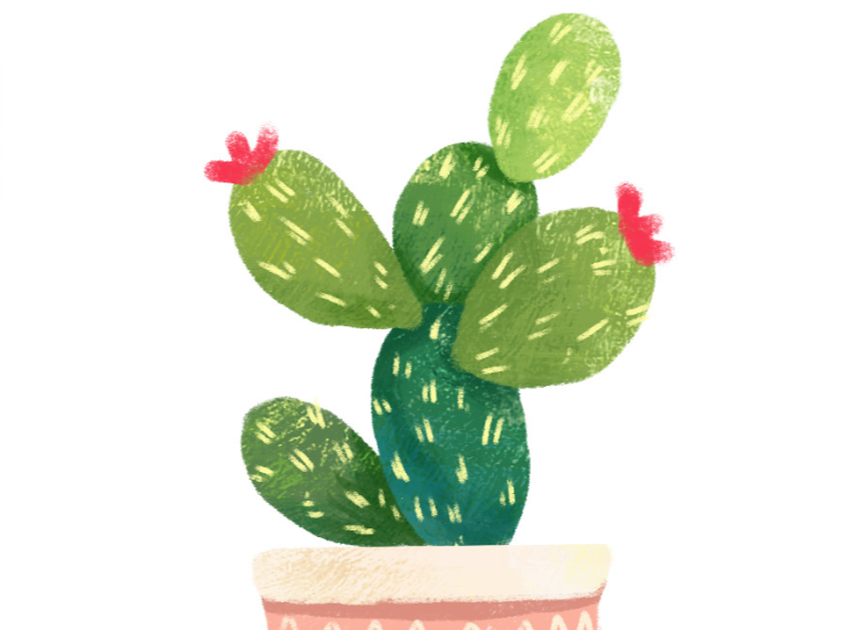 仙人掌 盆栽植物 插画_易小绘-站酷ZCOOL