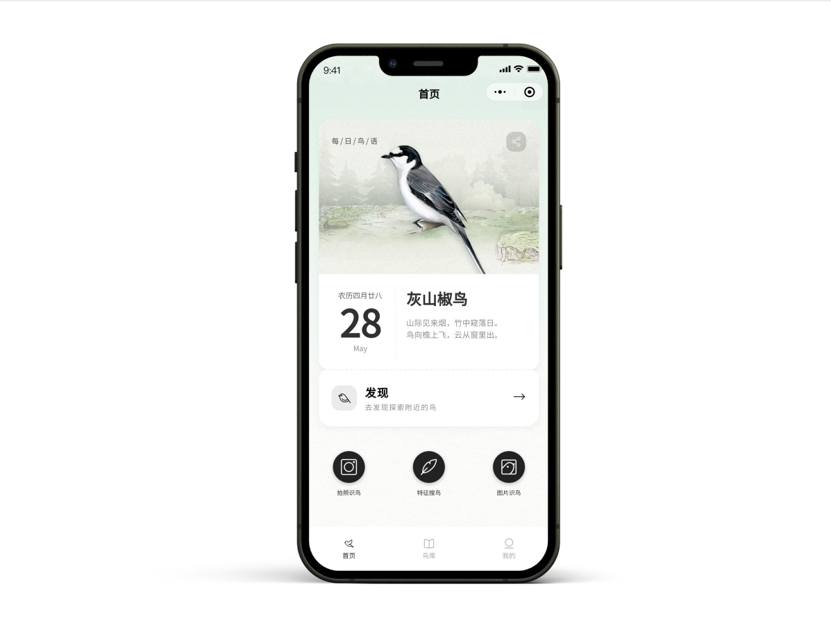 红点奖获奖作品——观鸟君小程序壹点设计咨询 站酷zcool