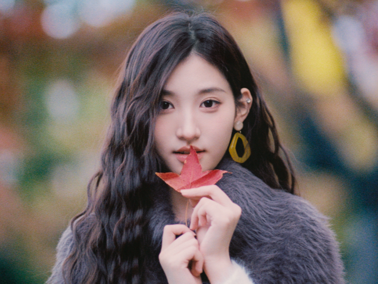 秋叶_ARTLee小杰-站酷ZCOOL