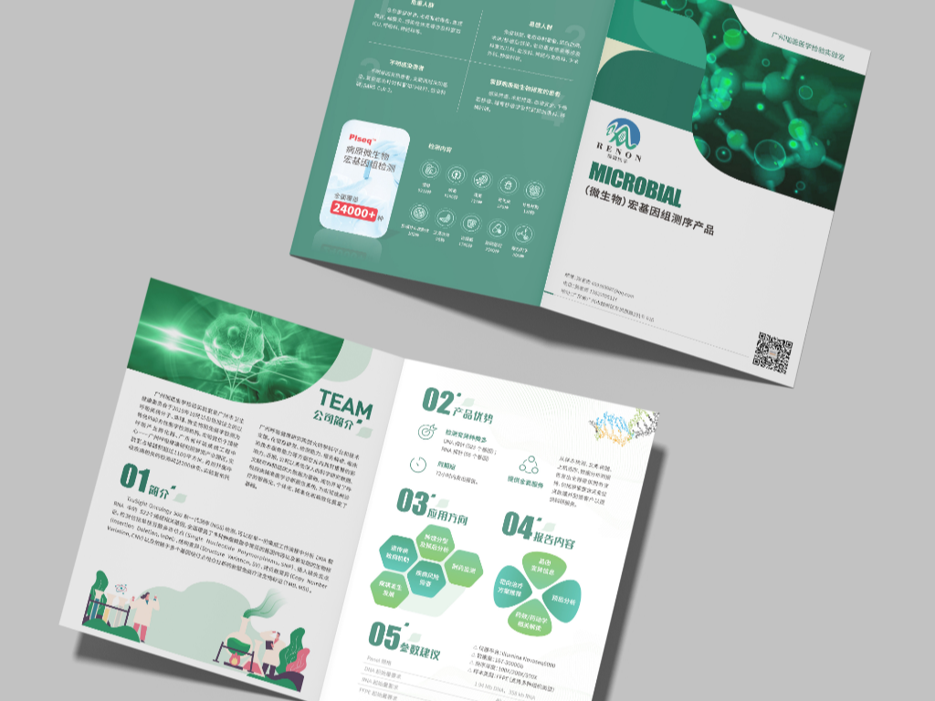 项目介绍2折页_气泡桃子-站酷ZCOOL