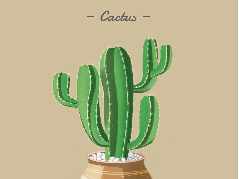 小清新植物肌理插画——仙人掌_咸鱼1103-站酷ZCOOL