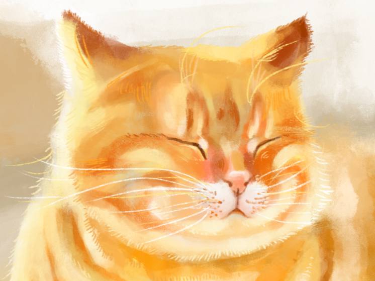 质感插画打卡D20-动物质感_蕙鹅-站酷ZCOOL