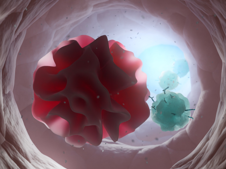 形态绮丽的树突状细胞_Bio_Craft-站酷ZCOOL