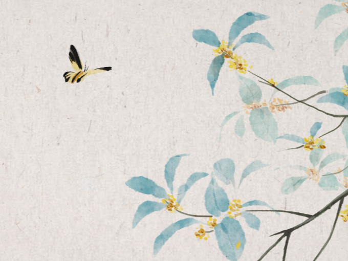 国风桂花小品_蘑菇Mog-站酷ZCOOL