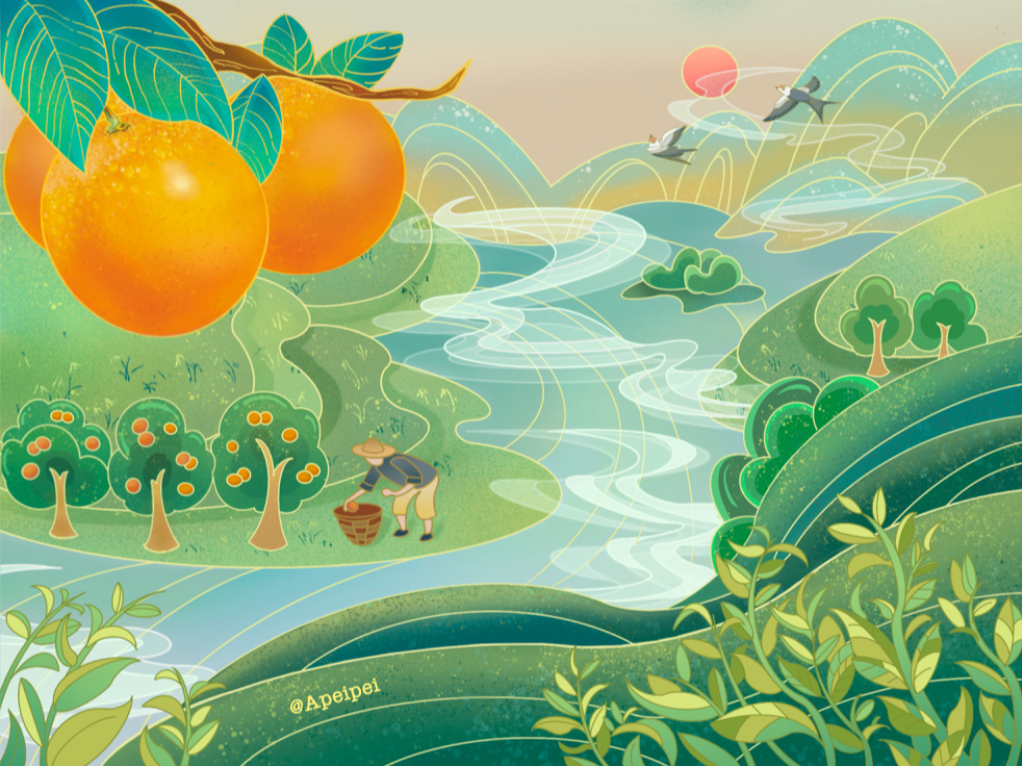 赣南脐橙2_Apeipeii-站酷ZCOOL