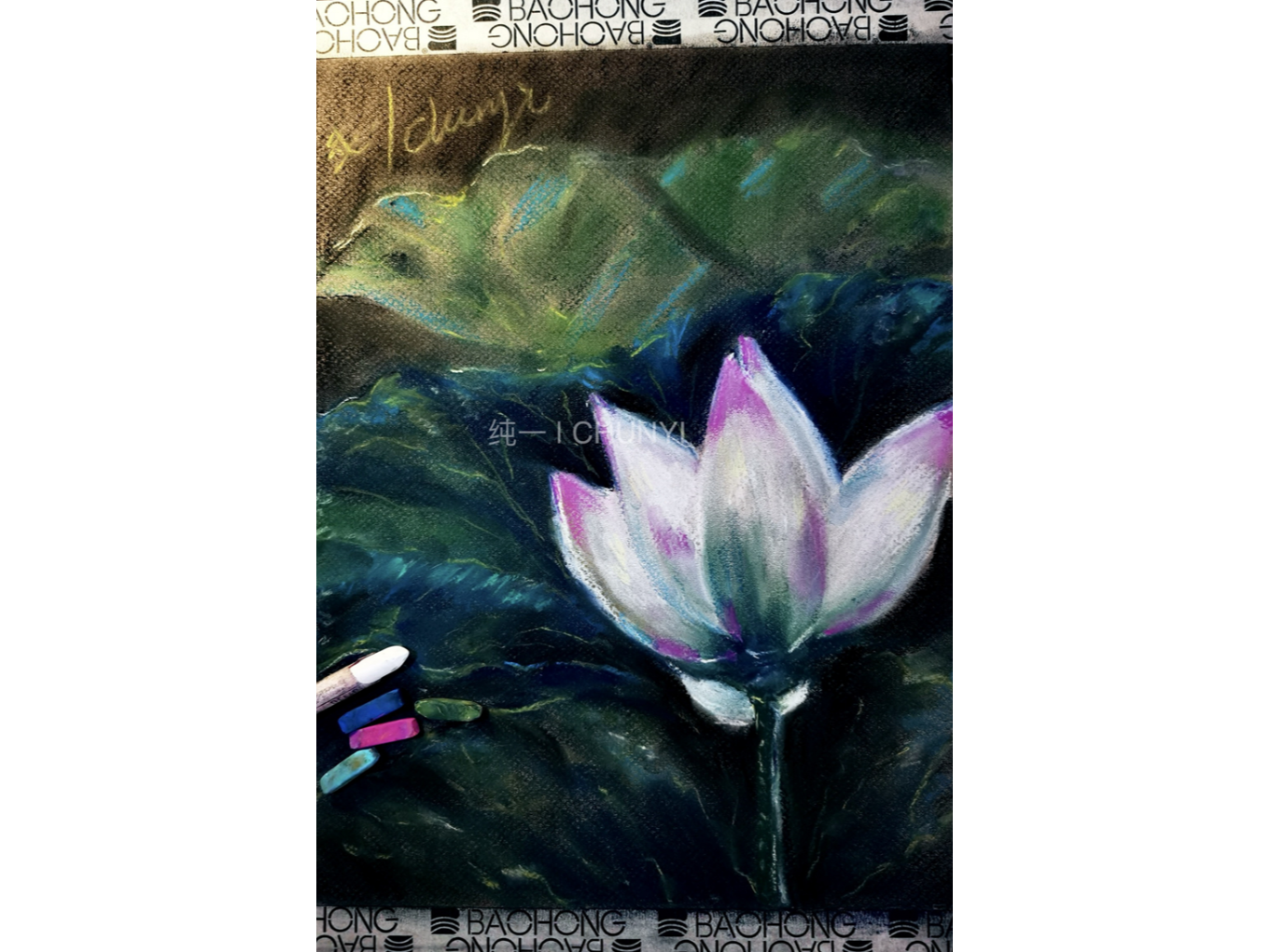 【2022年色粉画24幅（11）：花的姿态】_若水生花CC纯一-站酷ZCOOL