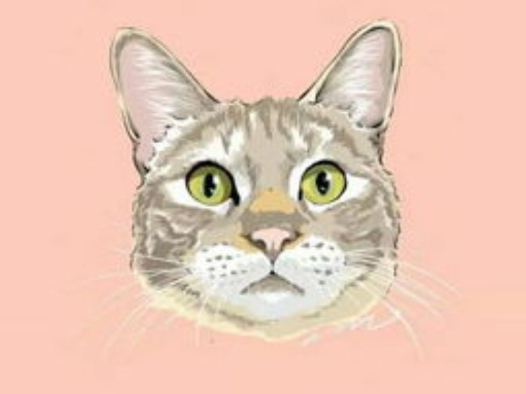 MG临摹_强壮到不需要吃-站酷ZCOOL