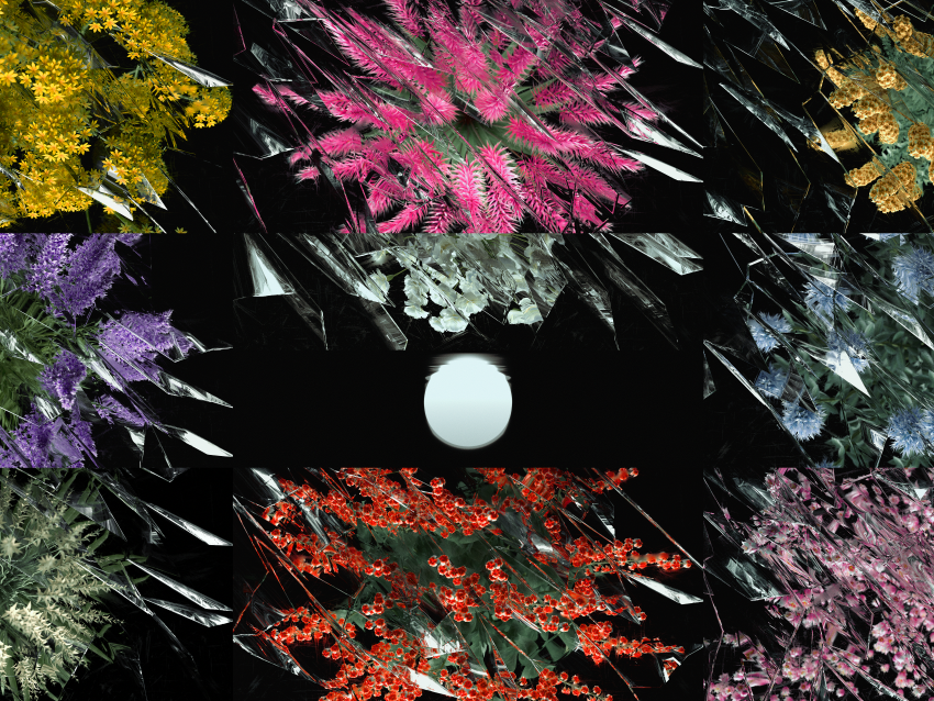 镜花_Spike_d-站酷ZCOOL