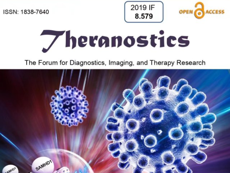 Theranostics期刊封面图_scihua-站酷ZCOOL