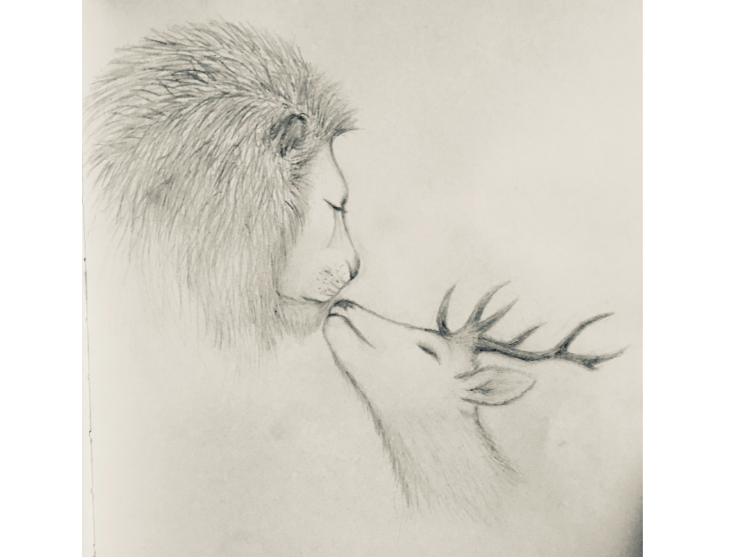 读书有感_Twinkle_fox-站酷ZCOOL