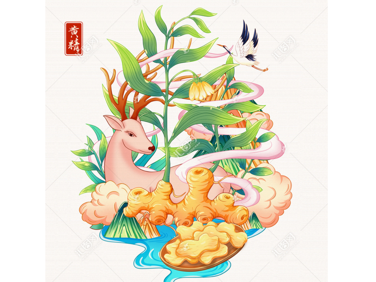 黄精手绘插画_kwtzhb-站酷ZCOOL