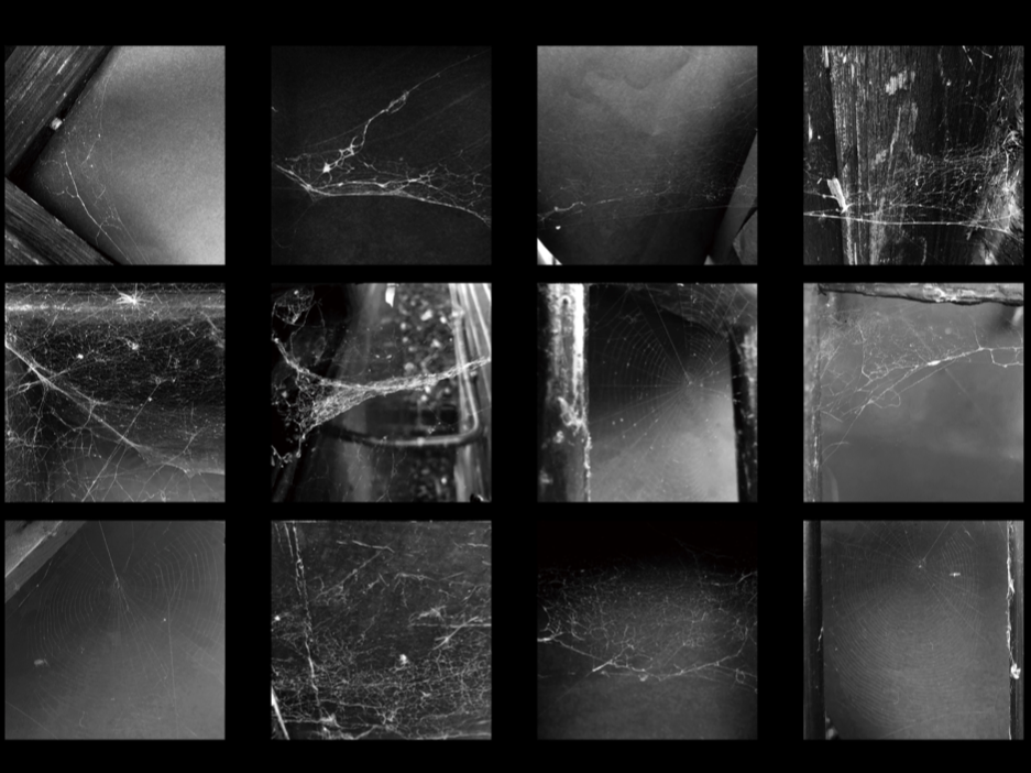 蜘蛛网-数据可视化_Ann娜娜子-站酷ZCOOL