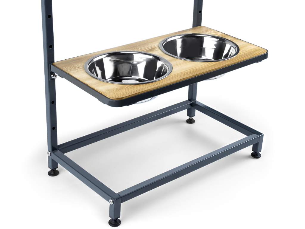 狗碗_陈佳礼平面-站酷ZCOOL