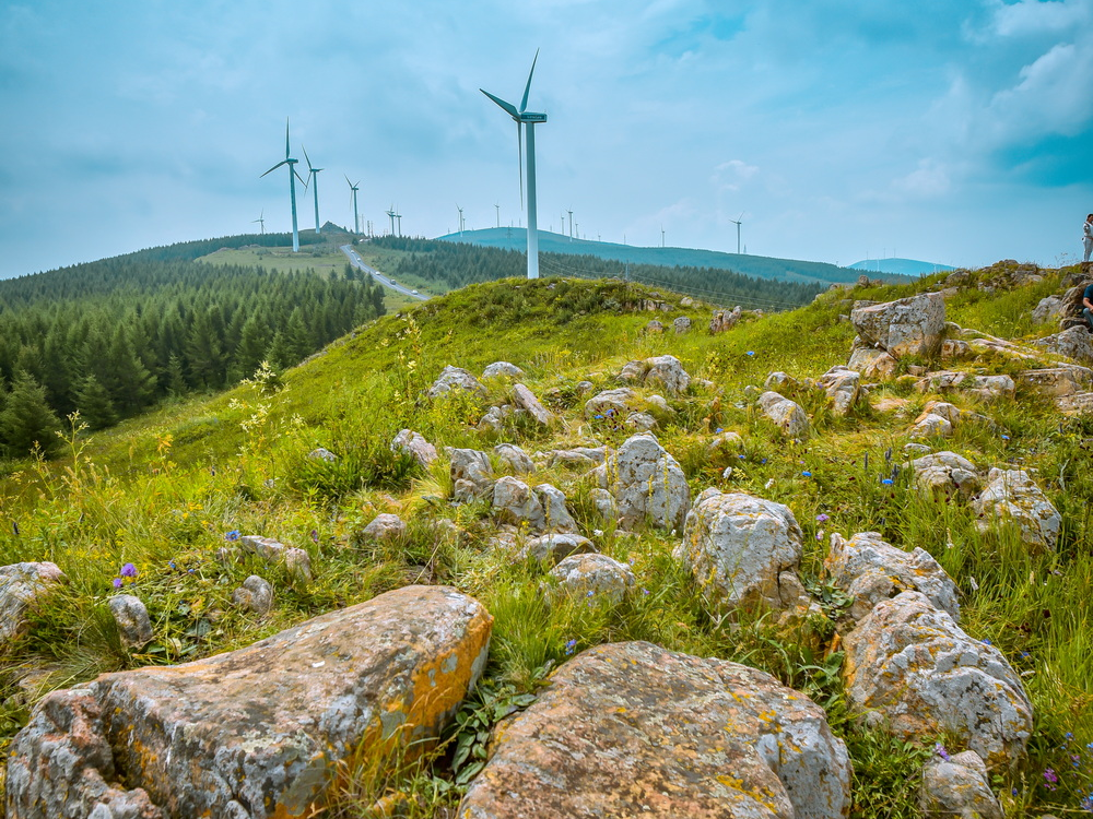 坝上草原百里天路_zhao_c_l-站酷ZCOOL