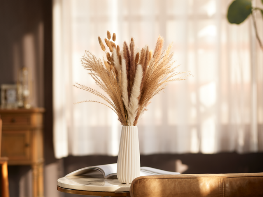 装饰干花_Yang_Jun-站酷ZCOOL