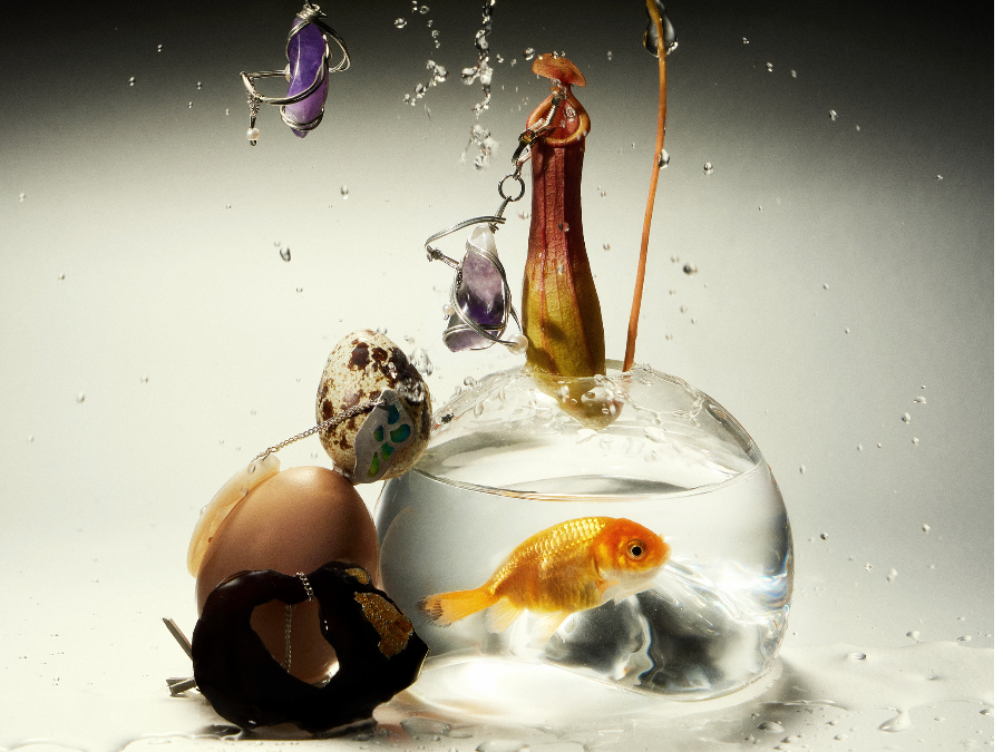 饰品拍摄｜创意静物摄影_Limbic-站酷ZCOOL