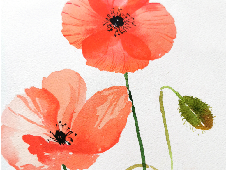 水彩手绘-花卉篇_Sansan_ll-站酷ZCOOL