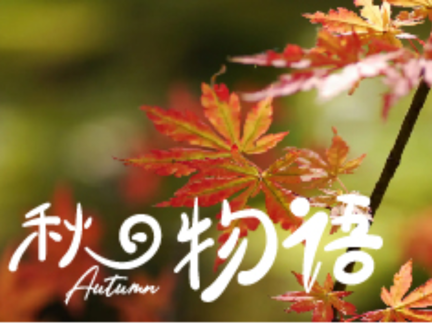 秋日物语_墨水DD-站酷ZCOOL