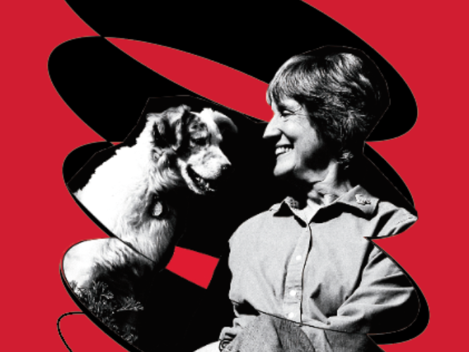 第四天作业_咔咔饭团-站酷ZCOOL