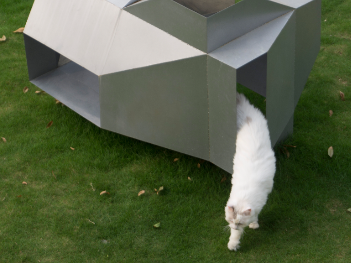 猫声 / Cats’ Voice_weiweimao_-站酷ZCOOL