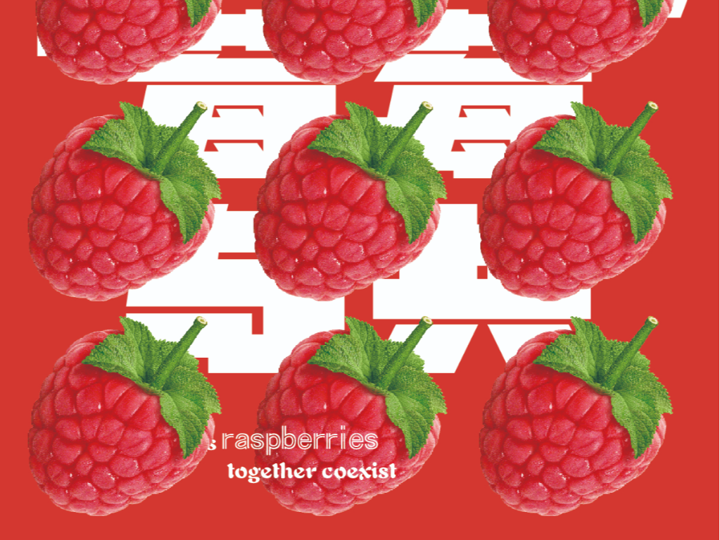 DAY 8_犟梗梗-站酷ZCOOL