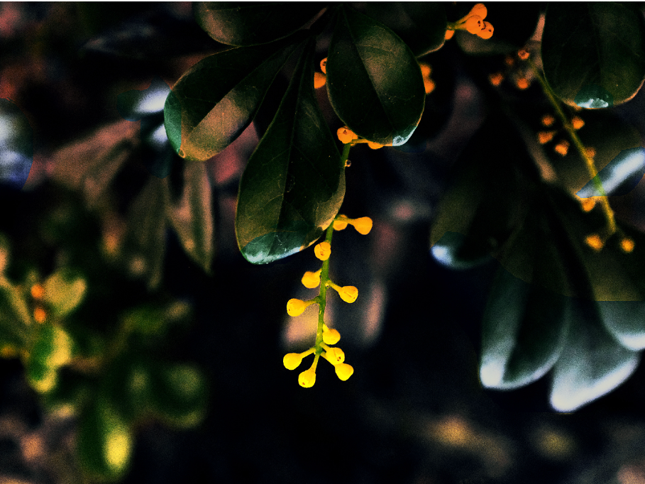 米兰_leonayunshu-站酷ZCOOL