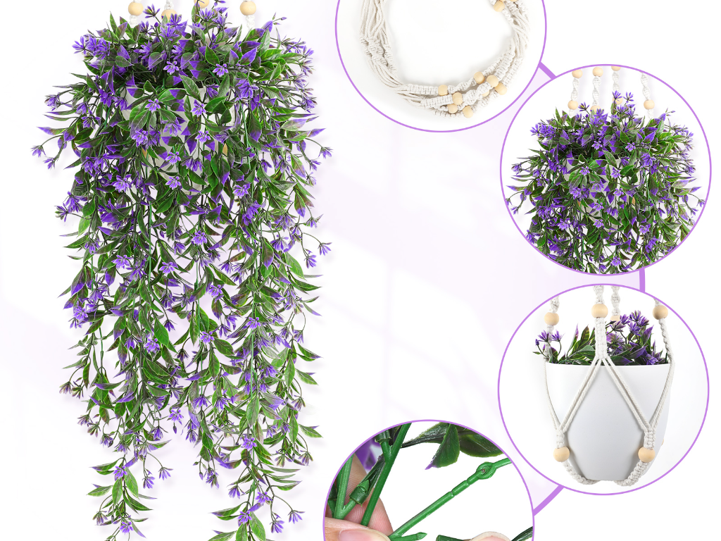 亚马逊悬挂绿植装饰主图、A+、视频_Linus_Li-站酷ZCOOL