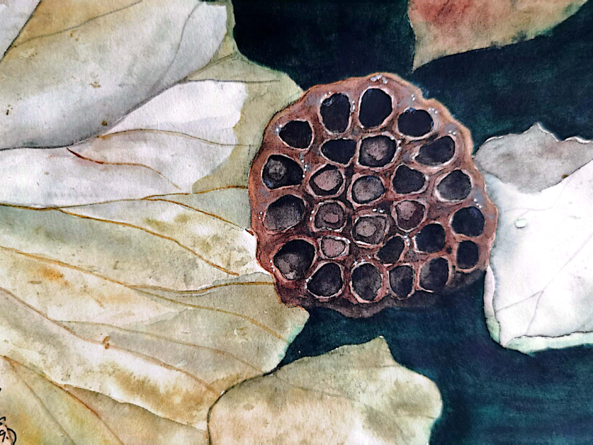 就是习作_不细默默-站酷ZCOOL