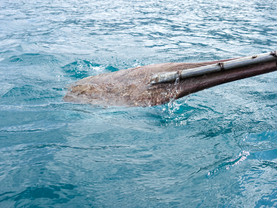 云南｜泸沽湖｜香格里拉｜西双版纳｜丽江_树云Serene-站酷ZCOOL