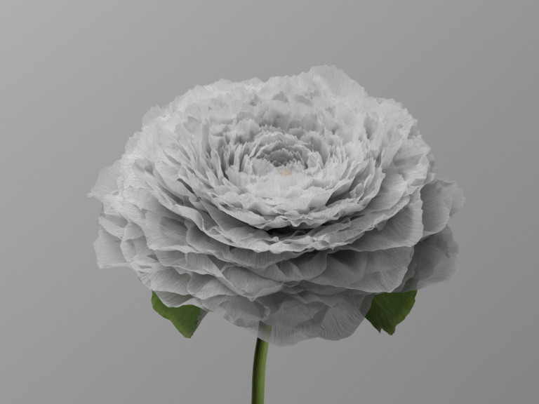 The nameless flower_LIFE来福-站酷ZCOOL