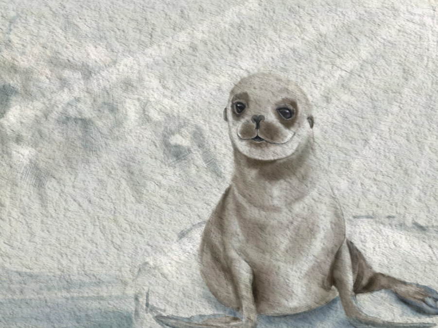 海狮_不细默默-站酷ZCOOL