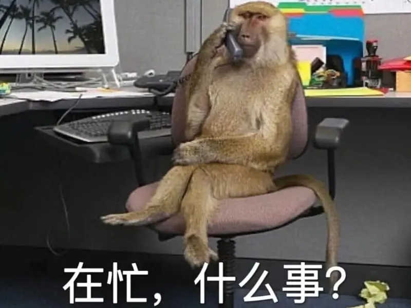 小吗喽_氵丿-站酷ZCOOL