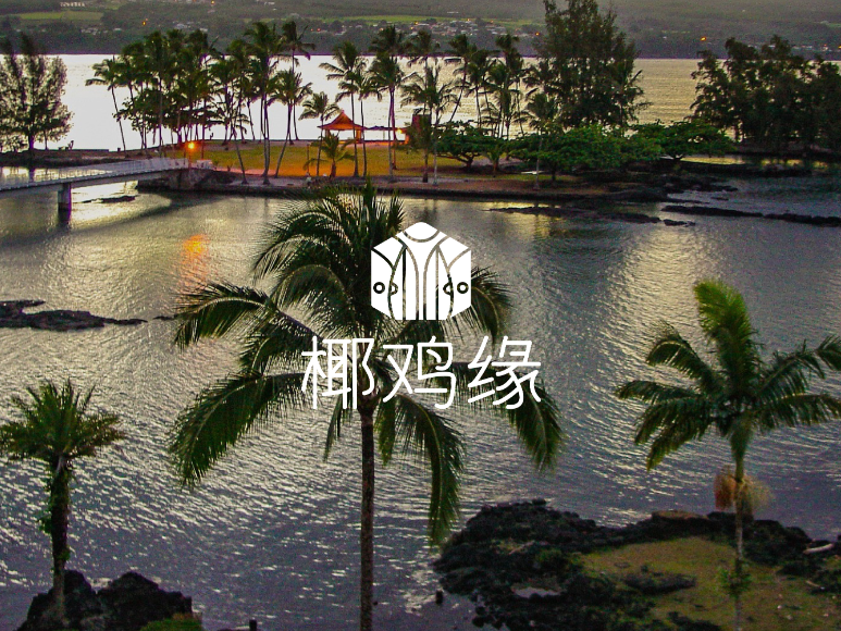 椰子鸡品牌提案_无K设计-站酷ZCOOL