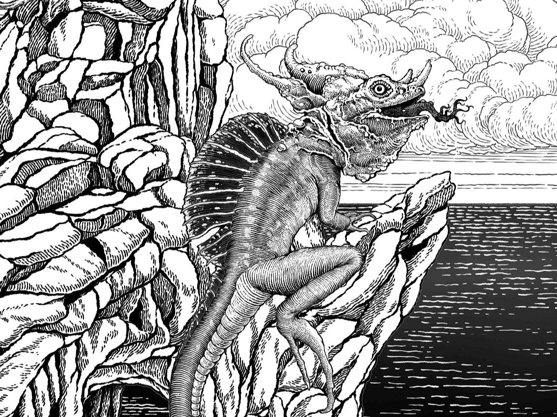 神秘海湾_绿野仙踪WYT-站酷ZCOOL