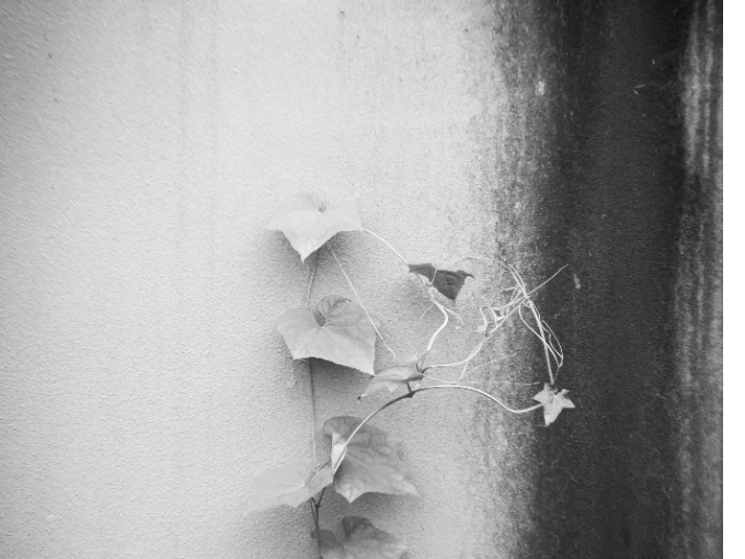 初拍_YBYB_01-站酷ZCOOL