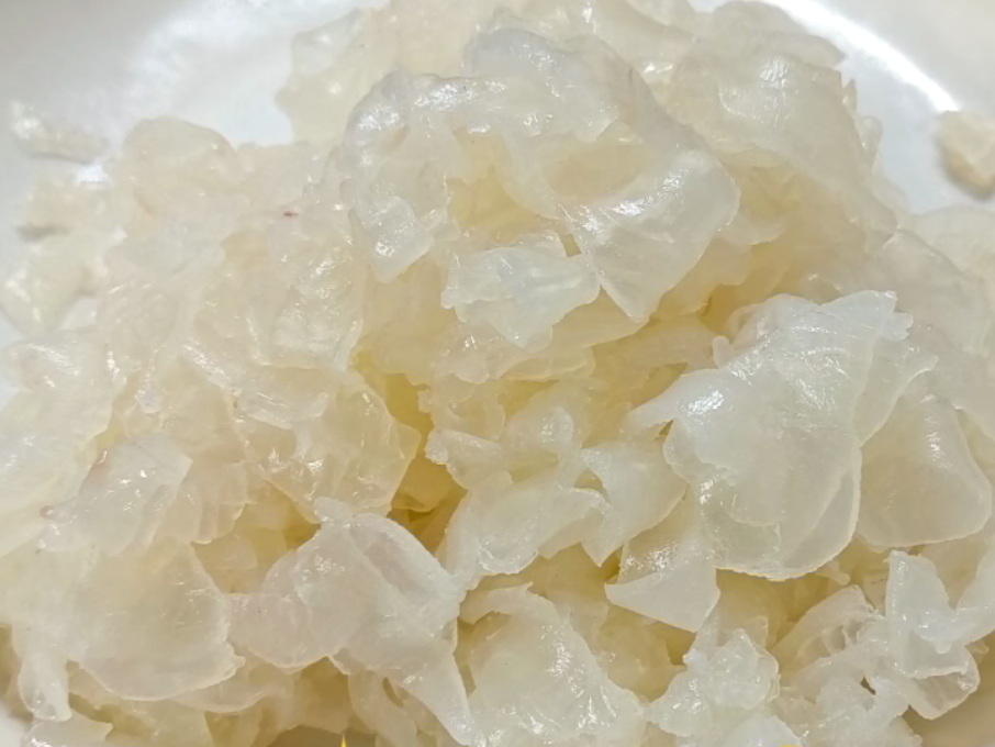 鱼生么咯？_JAMSONG-站酷ZCOOL