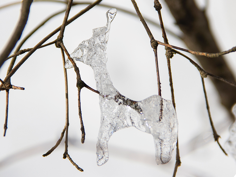 冰雪奇遇_张宏川-站酷ZCOOL