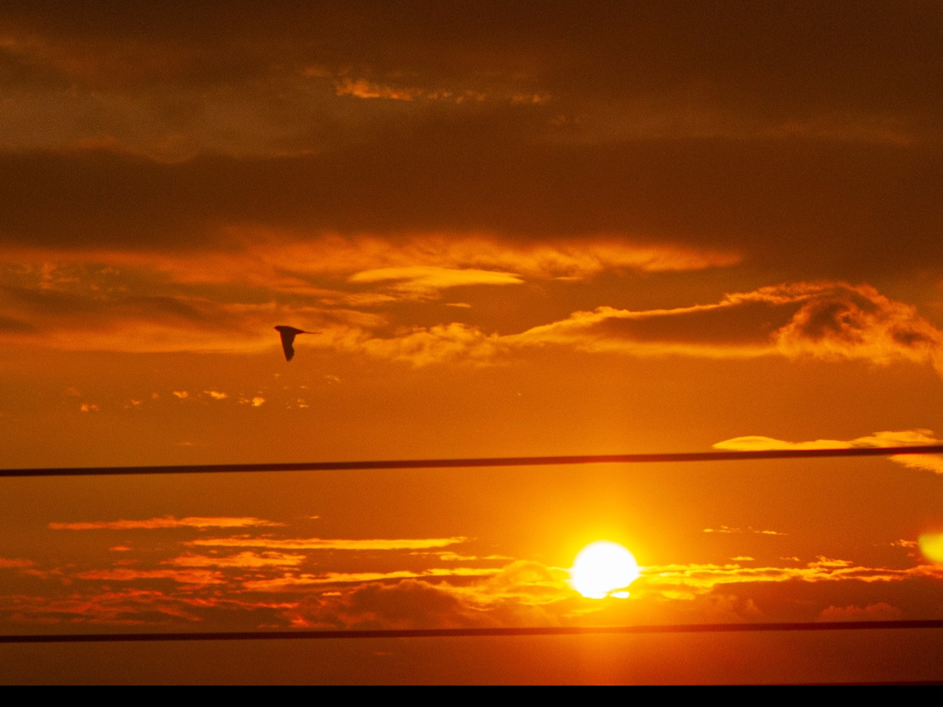 雨后 日破云涛_YBYB_01-站酷ZCOOL