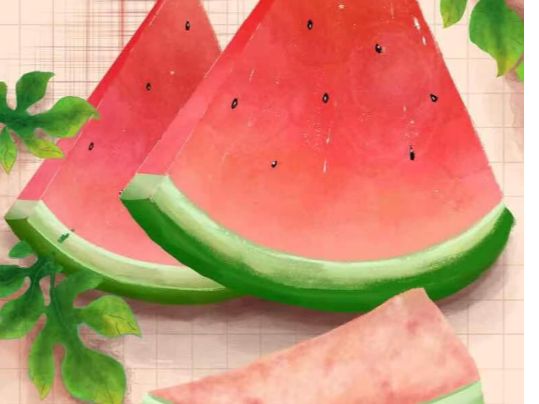 西瓜_七色花lfy-站酷ZCOOL