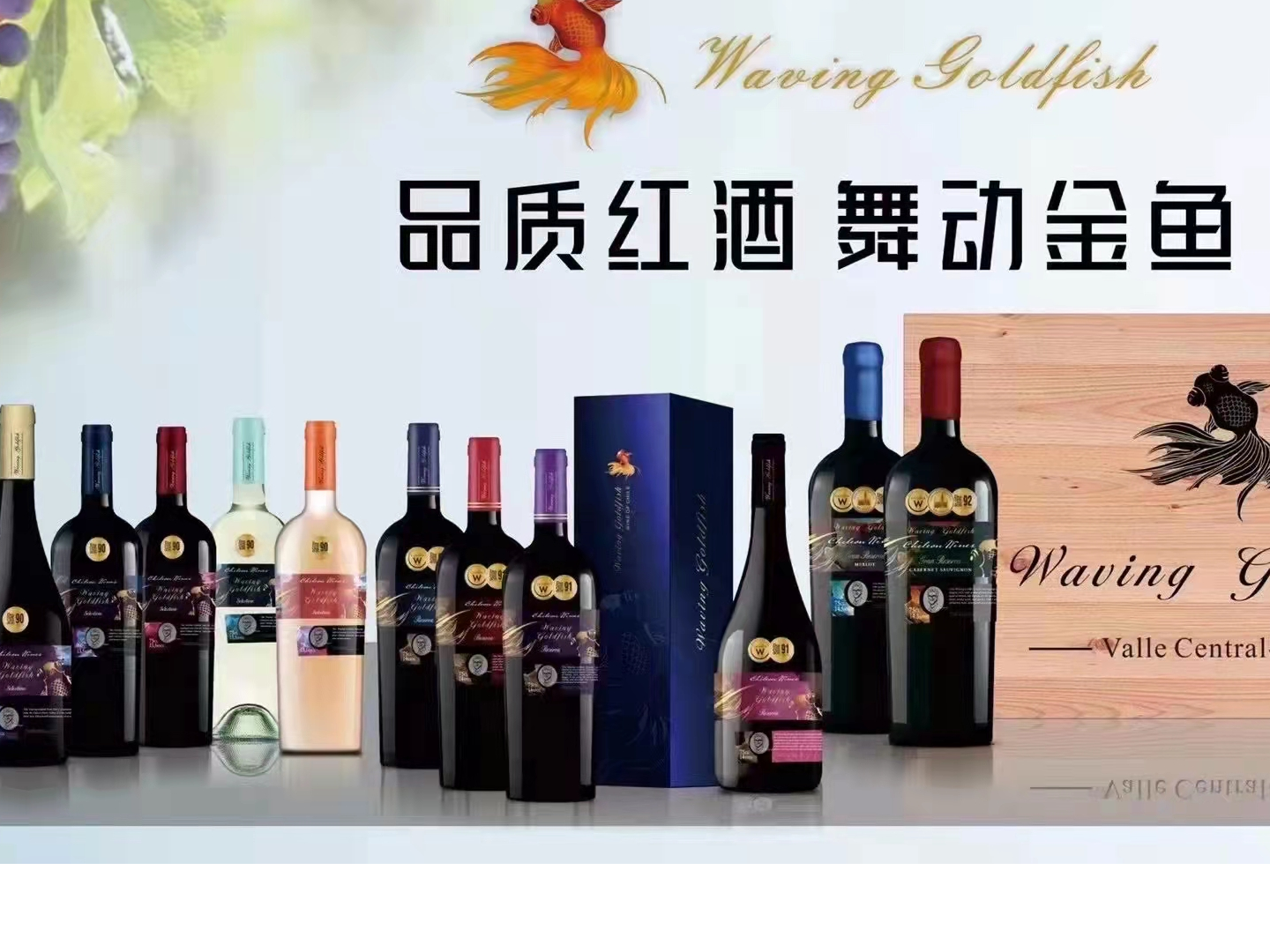 舞动金鱼-珍藏赤霞珠干红葡萄酒_jiu8888-站酷ZCOOL