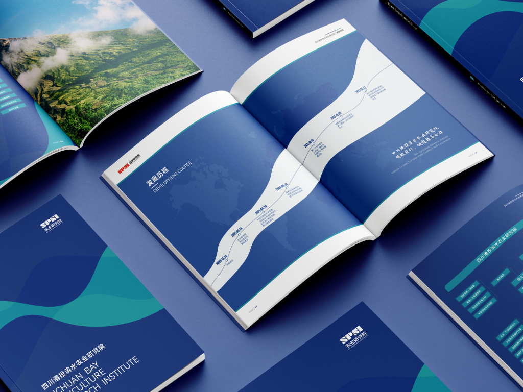 画册设计 X 企业画册设计 X 画册 X 创意画册设计_朝与飞品牌设计-站酷ZCOOL