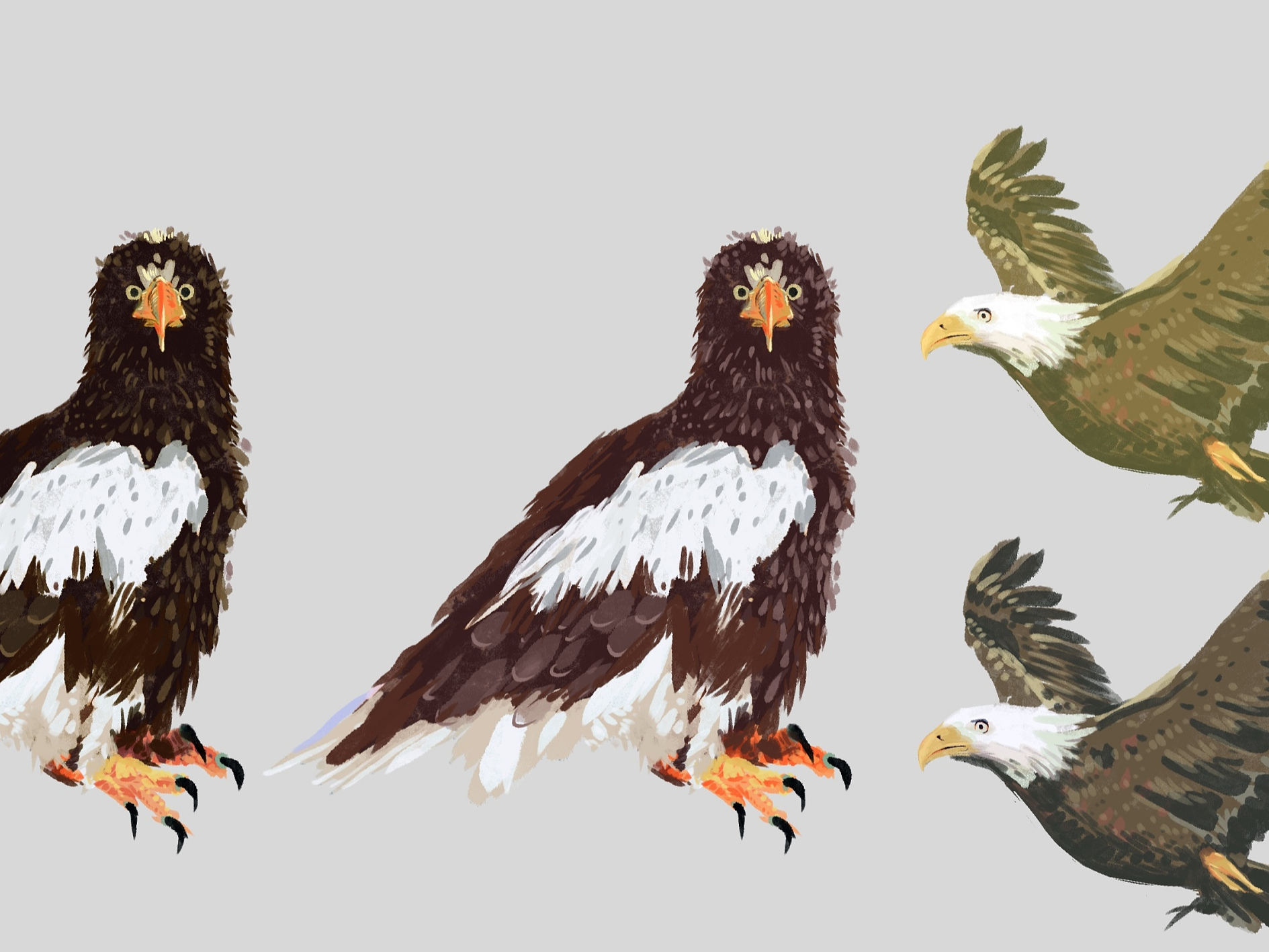 儿插_RRRYU-站酷ZCOOL