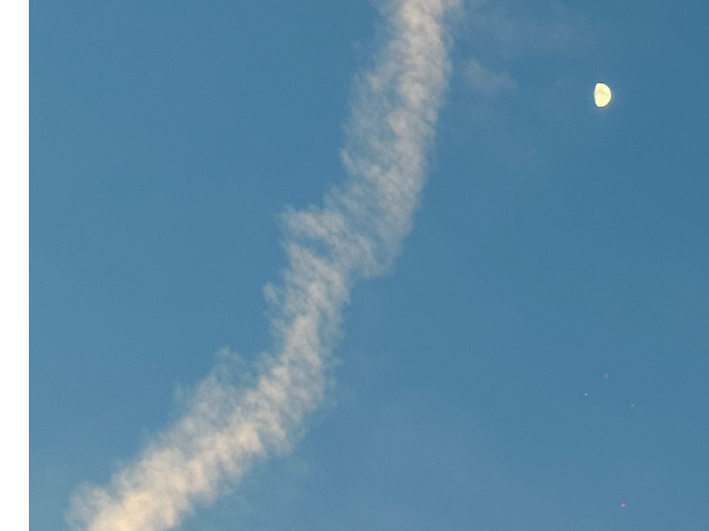 小ZZ_叔成-站酷ZCOOL