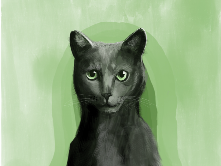 BLUE CAT_鱼子没有酱-站酷ZCOOL