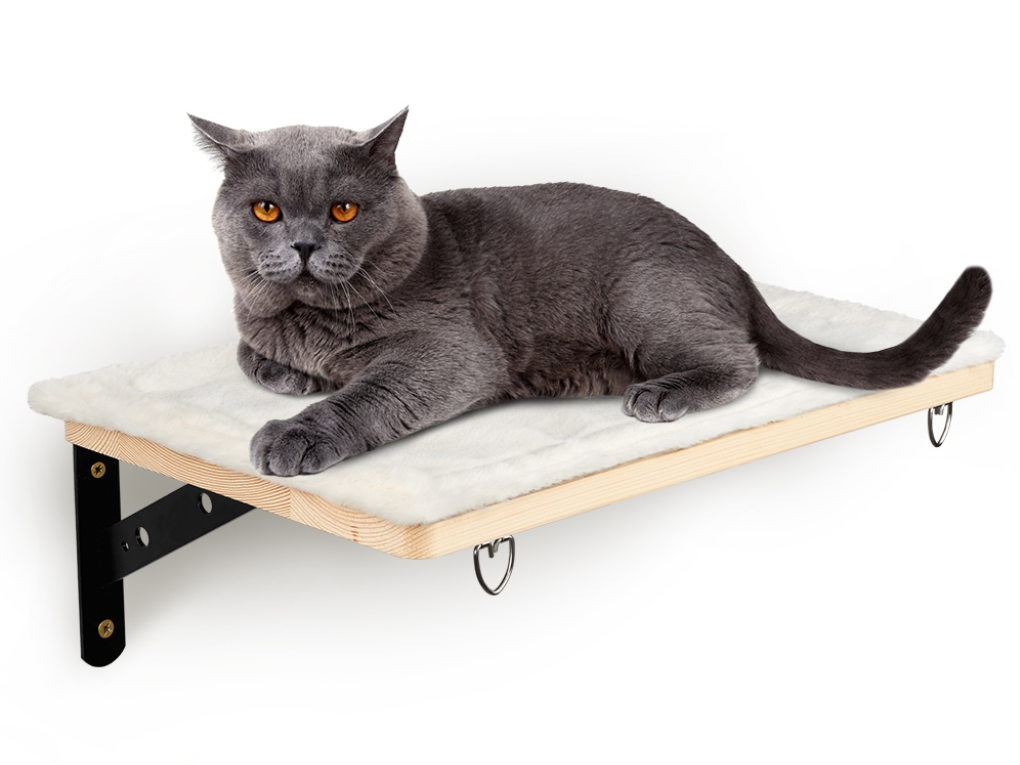 亚马逊猫爬架木质猫爬架猫玩具精修设计摄影_橙子酱酱-站酷ZCOOL