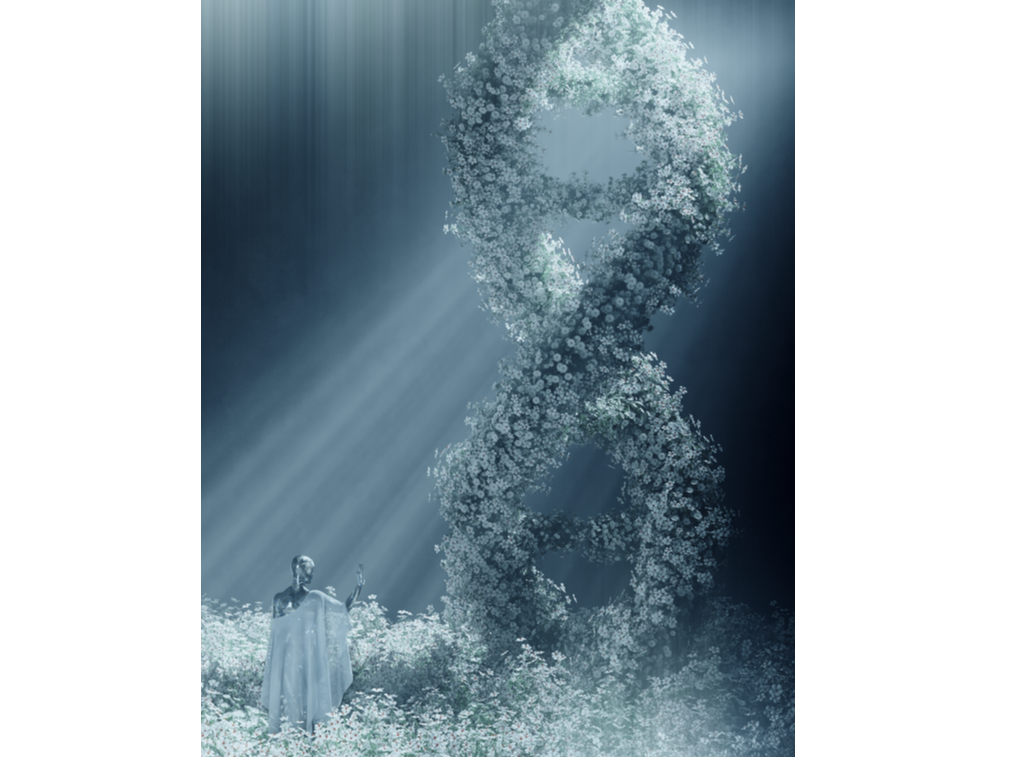 EVOLUTION_cocakoala-站酷ZCOOL